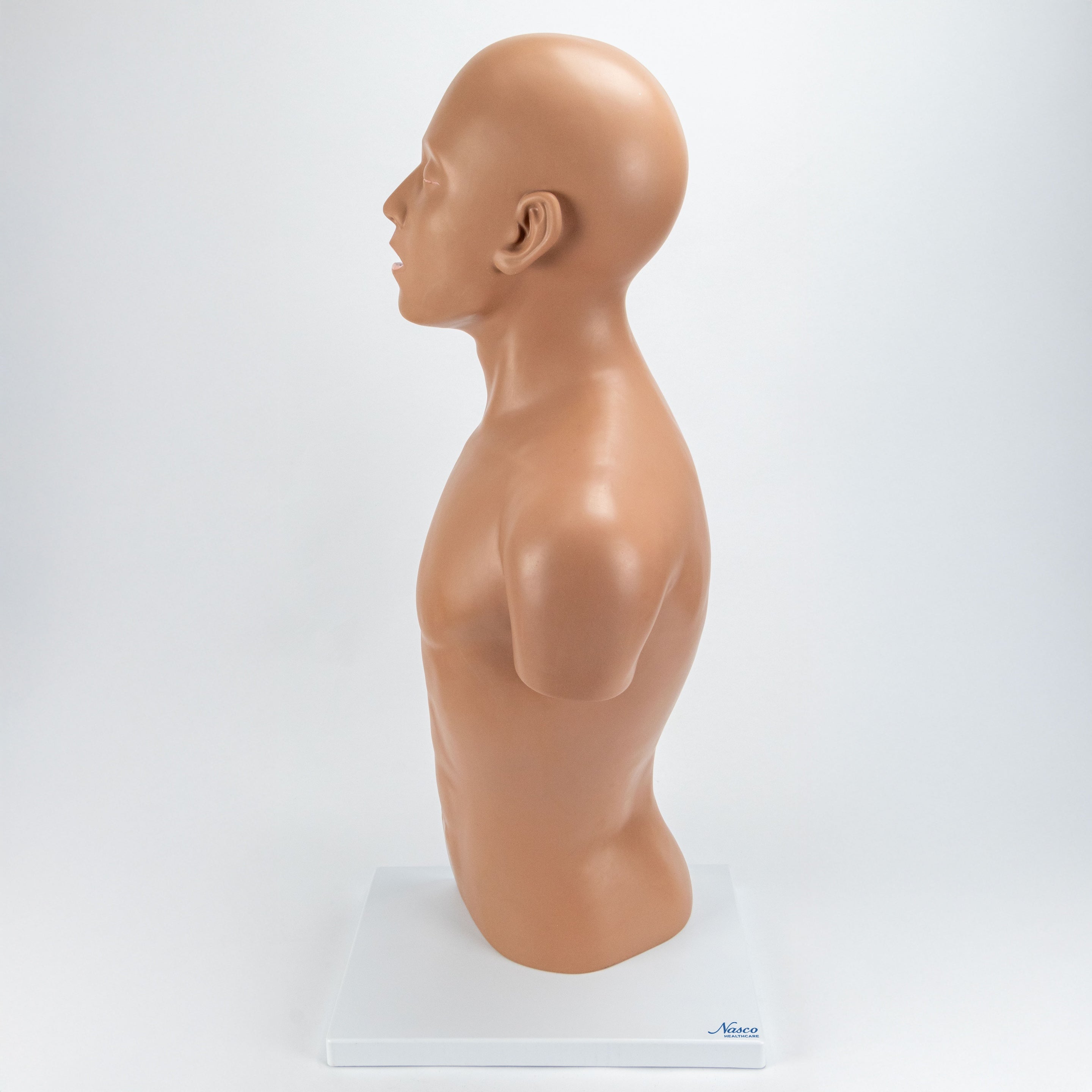 Nasogastric Tube Torso Model [SKU: MG32013] – Nasco Healthcare