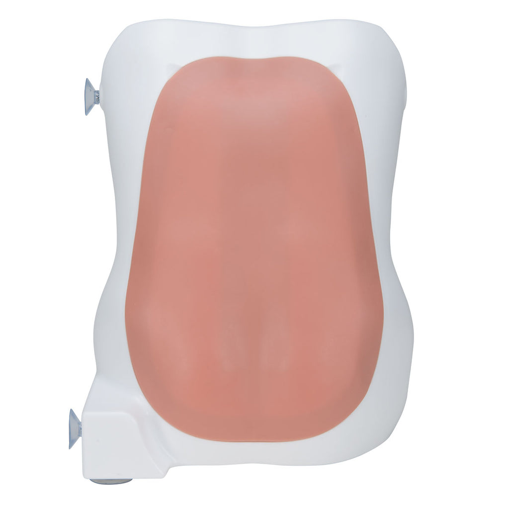 Epidural and Spinal Injection Trainer, Light [SKU: 1017891] – Nasco ...