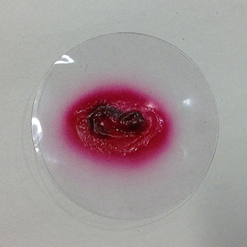 Exit Large Wound – Nasco Healthcare