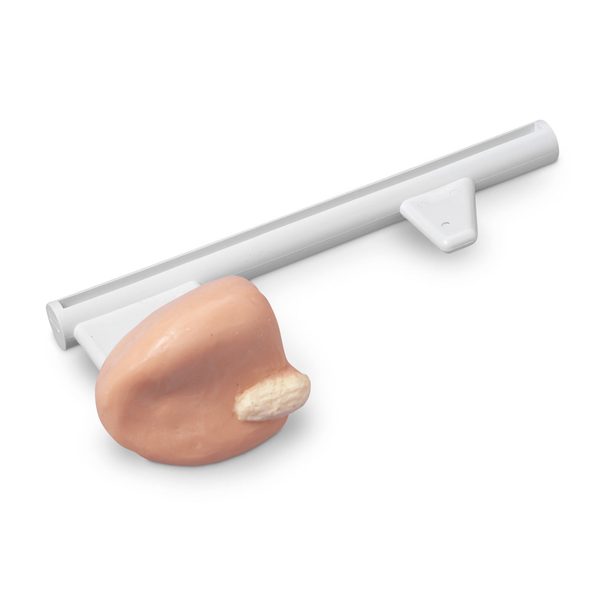 Prostate Gland Replacements – Nasco Healthcare