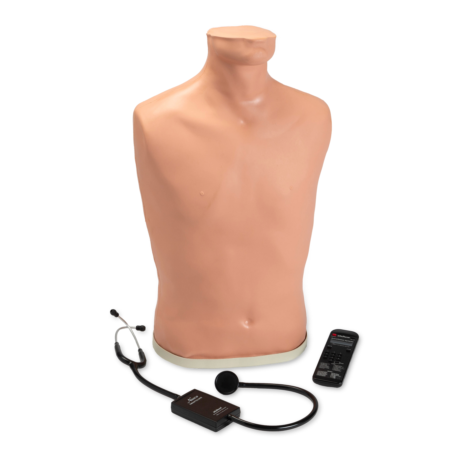 Auscultation – Nasco Healthcare