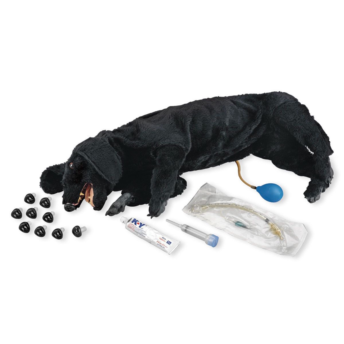 Life/form® Basic Sanitary CPR Dog [SKU: LF01156] – Nasco Healthcare