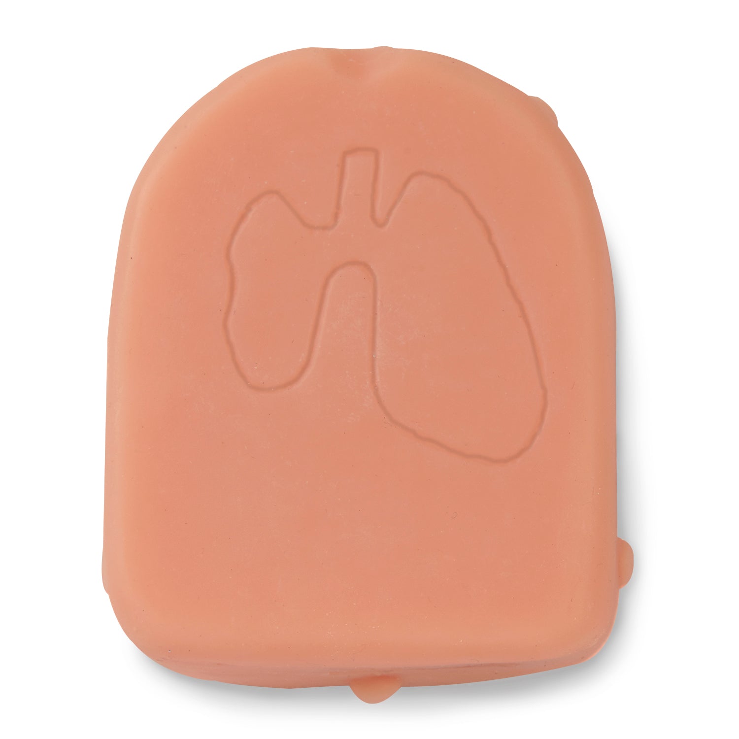 Unilateral Chest Insert – Nasco Healthcare